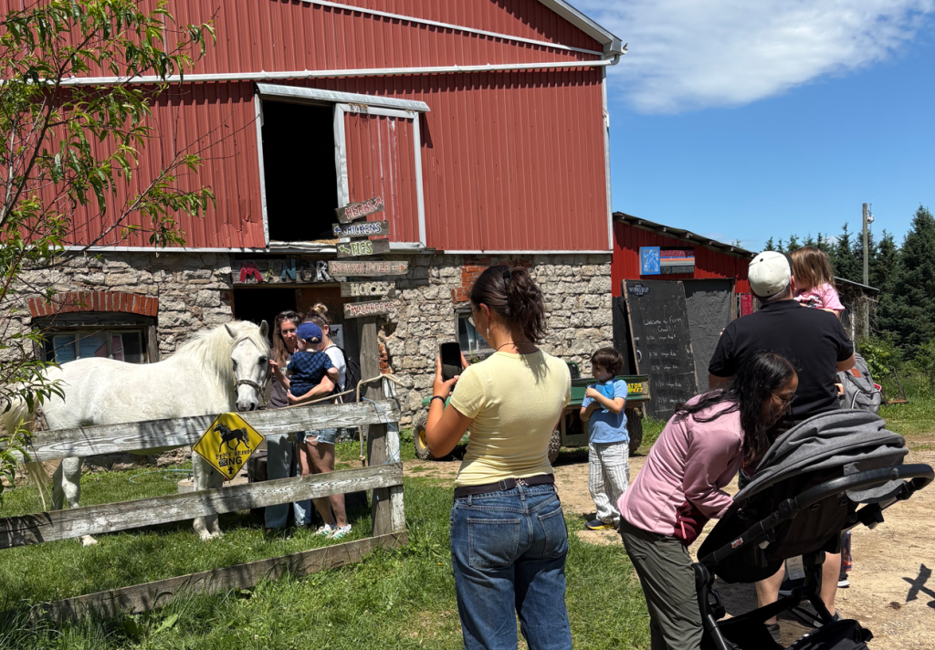 Farm crawl Hamilton 2026 attracted more than 800 visitors to 12 area ...